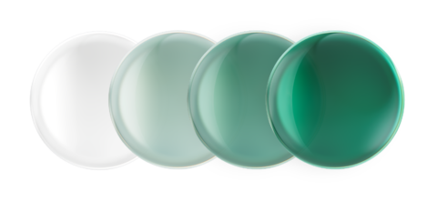 Transitions® Lenses | Market-Leading Photochromic Lenses